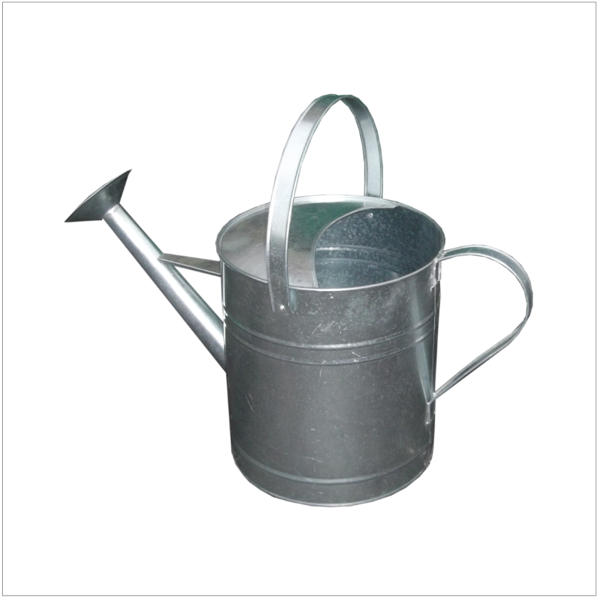 Galvanised Watering Can 2 Gallon – Rooneys Home & Hardware